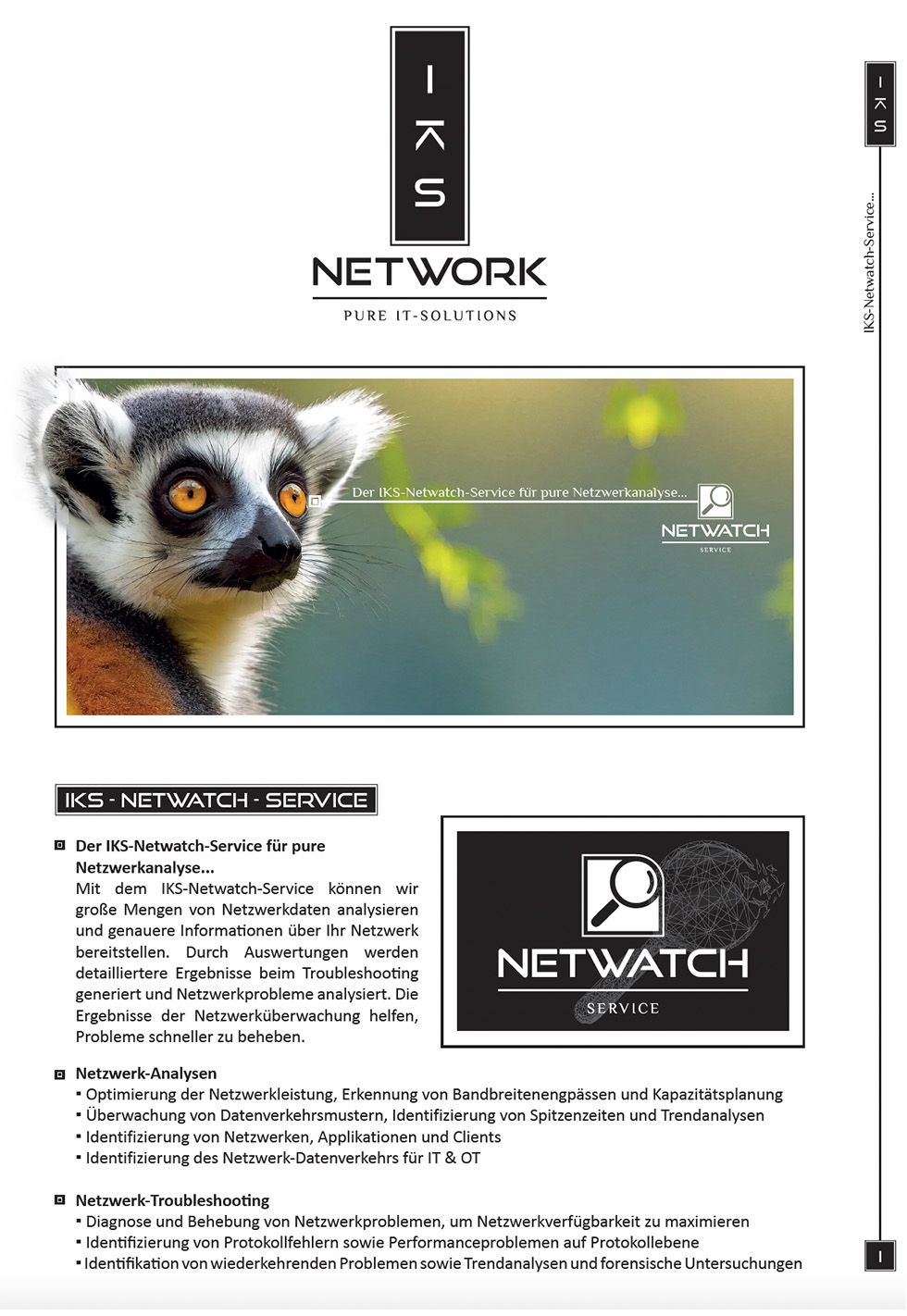 Aktuelle IT-Dienstleistungen als Download